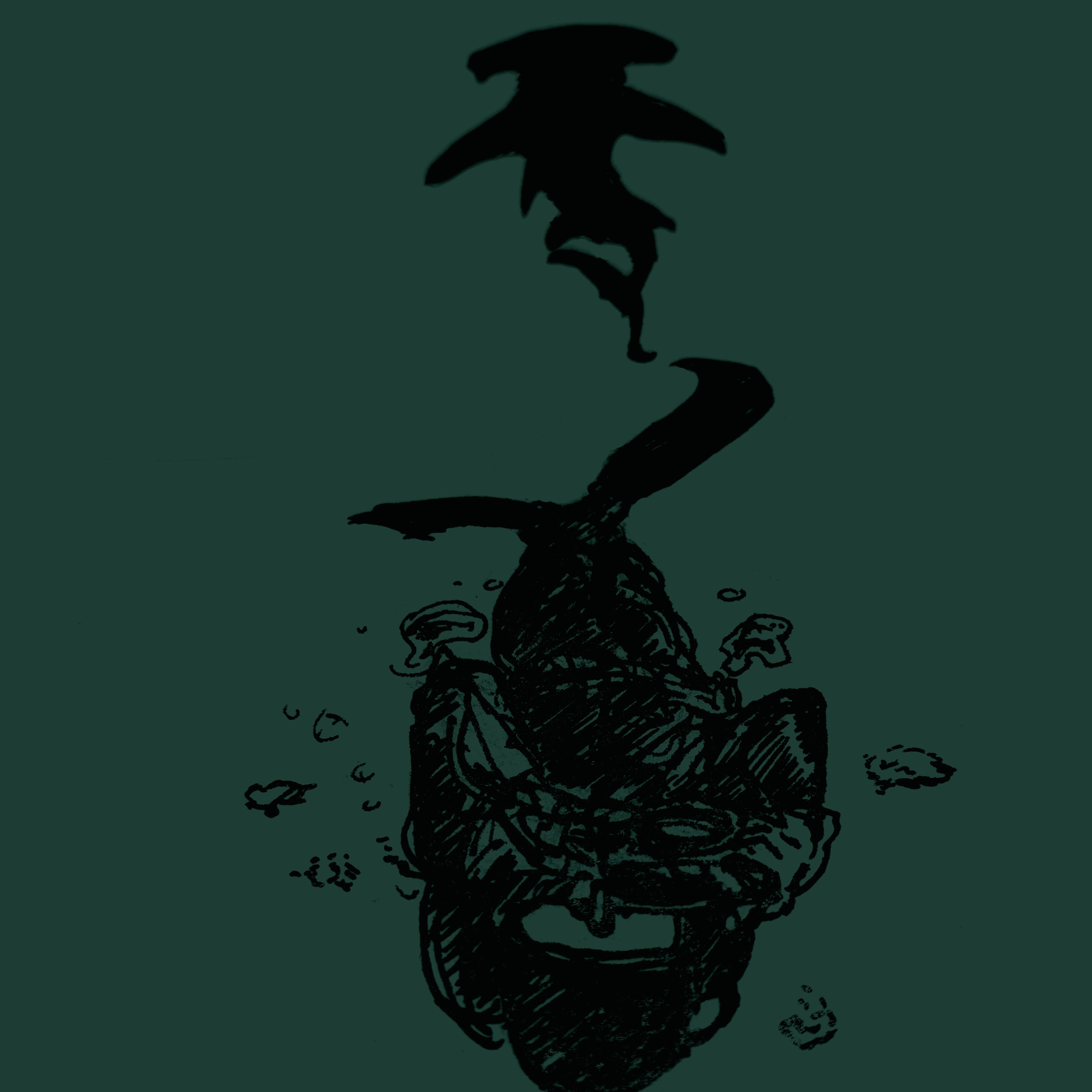 Collections – Sunrex